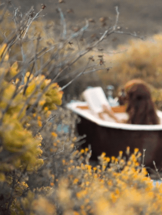 Compoz Paris - Dare, dose, compose